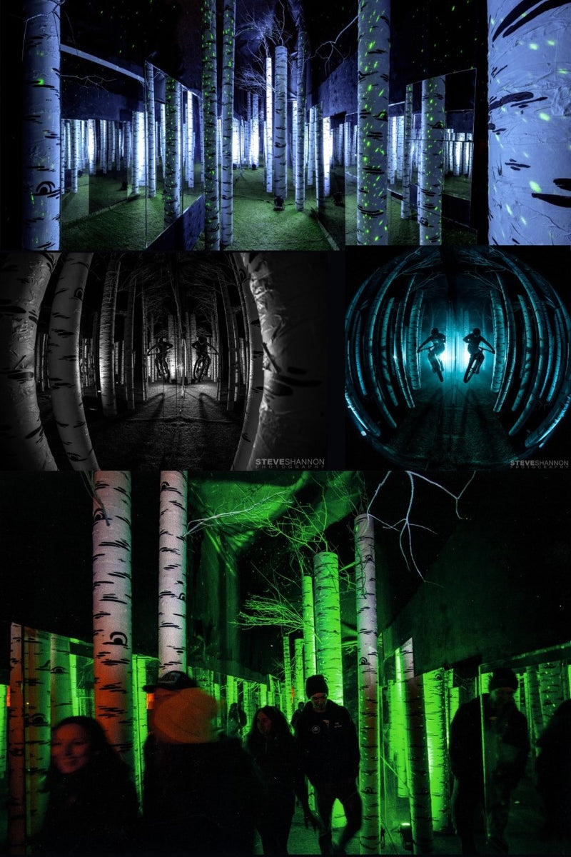 The Infinity Forest – Jessica Leahey Art